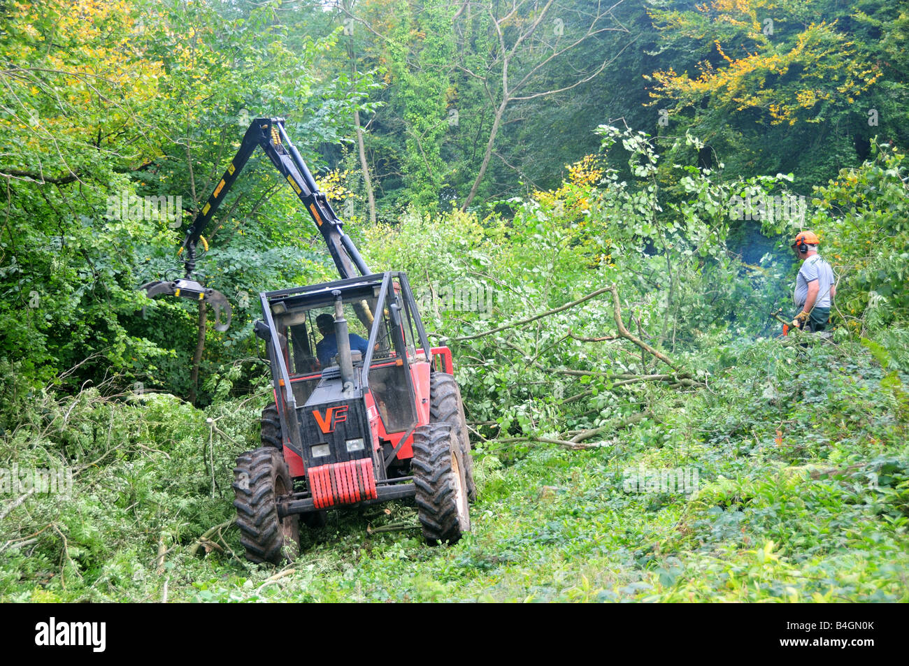 Forst Arbeiter Stockfotos und -bilder Kaufen - Alamy