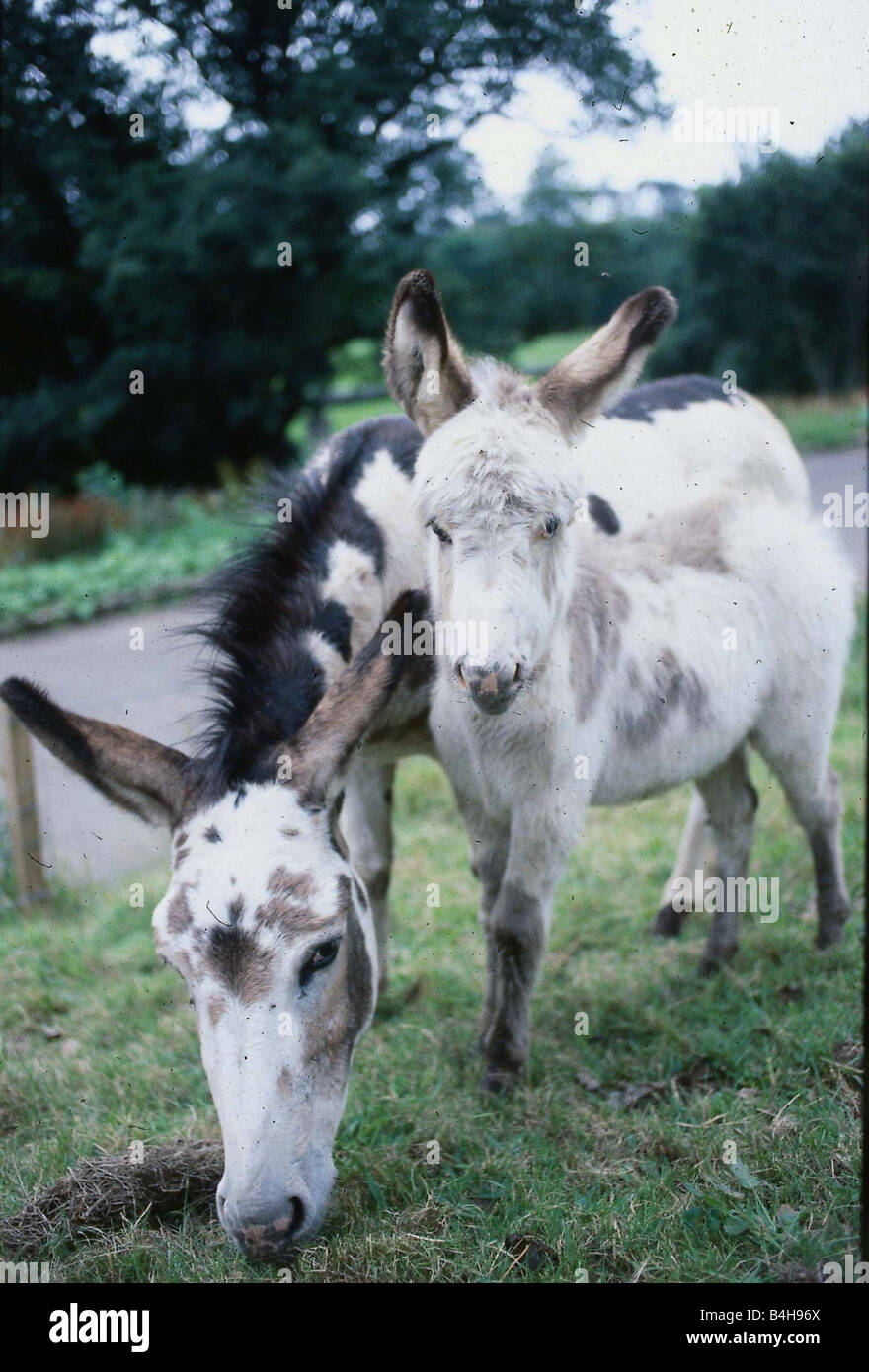 1970er mutter mit baby -Fotos und -Bildmaterial in hoher Auflösung – Alamy