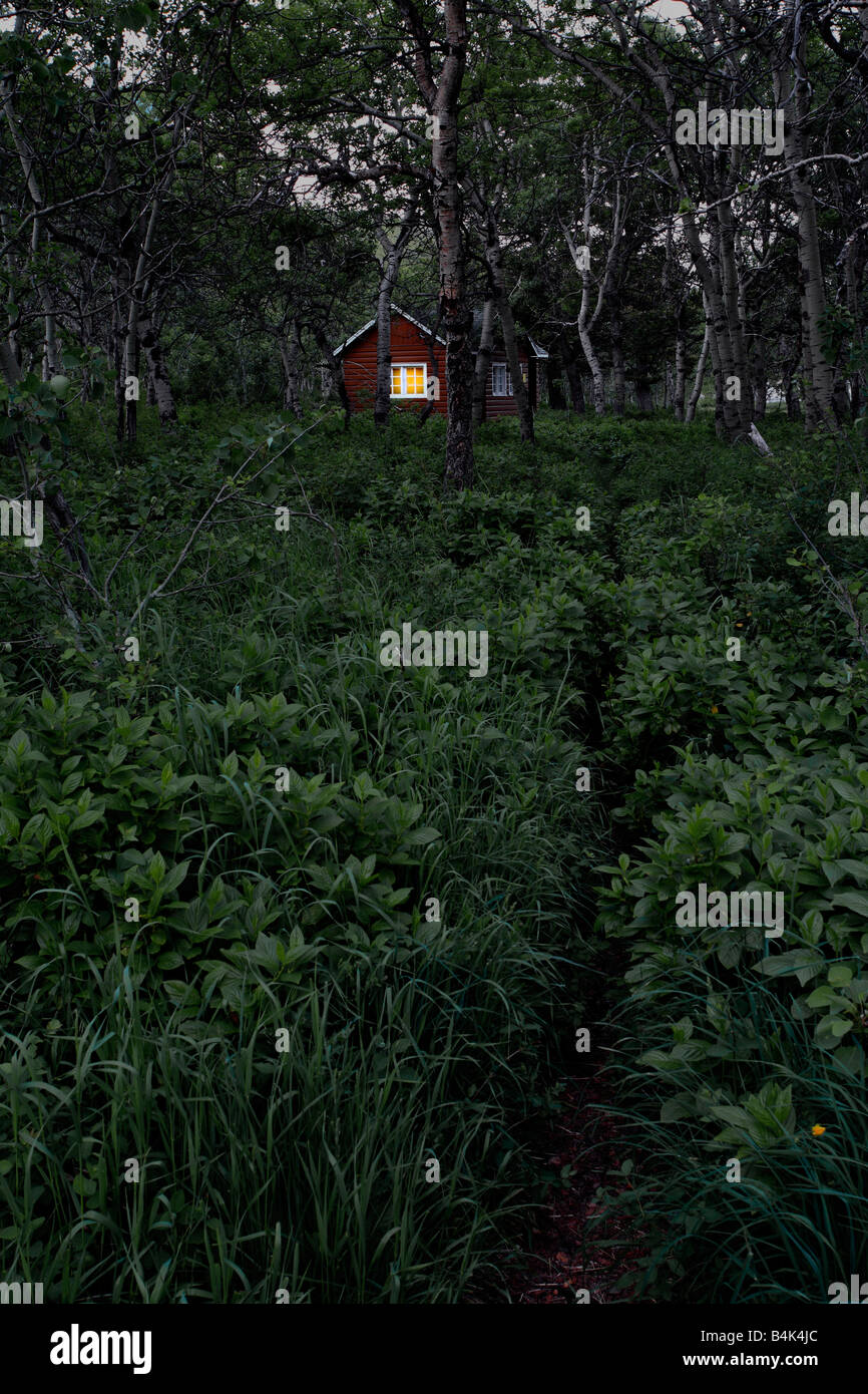 Hütte im Wald in der Nacht mit beleuchteten Fenster Stockfotografie - Alamy
