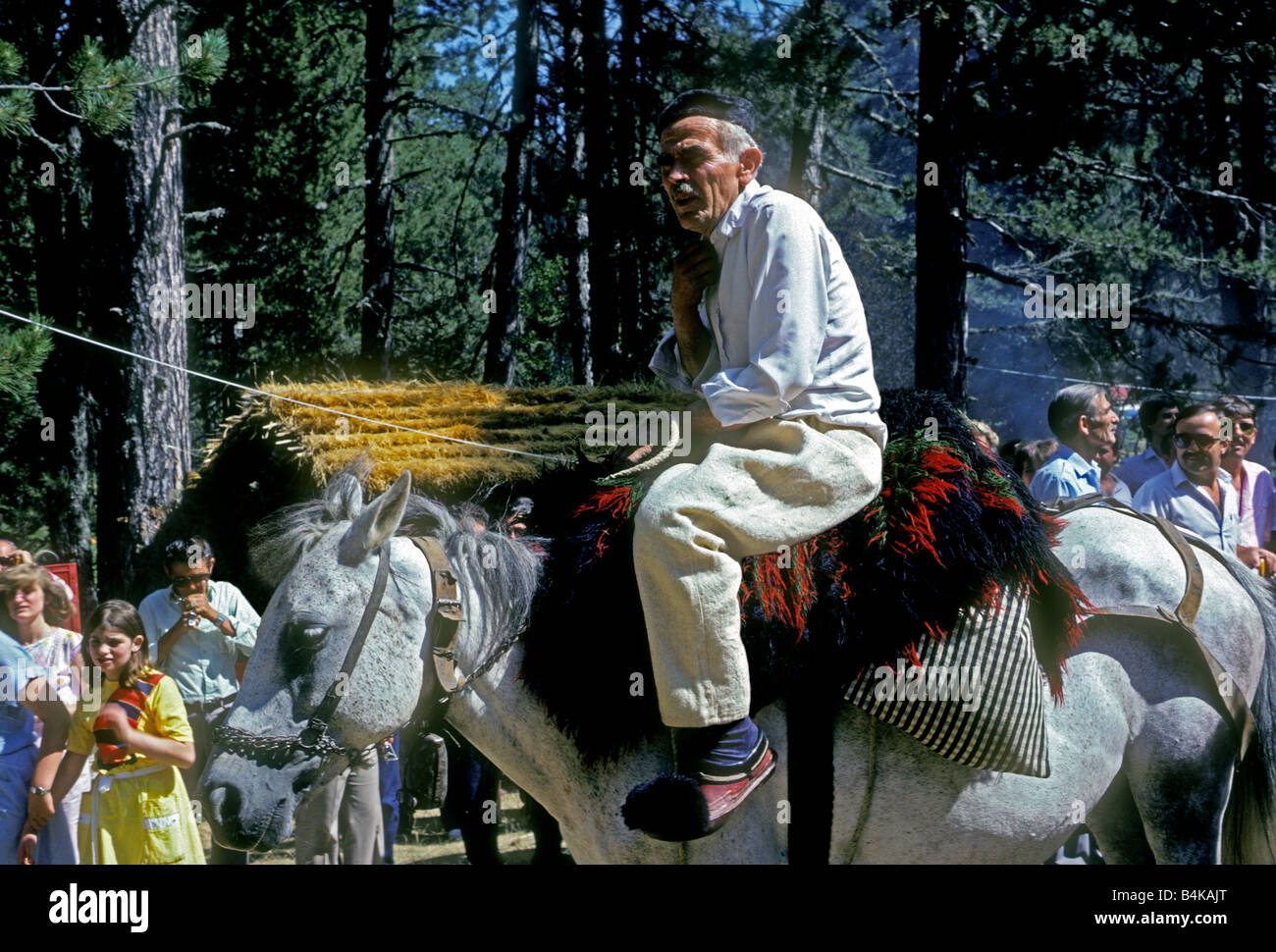 Balkan esel -Fotos und -Bildmaterial in hoher Auflösung – Alamy