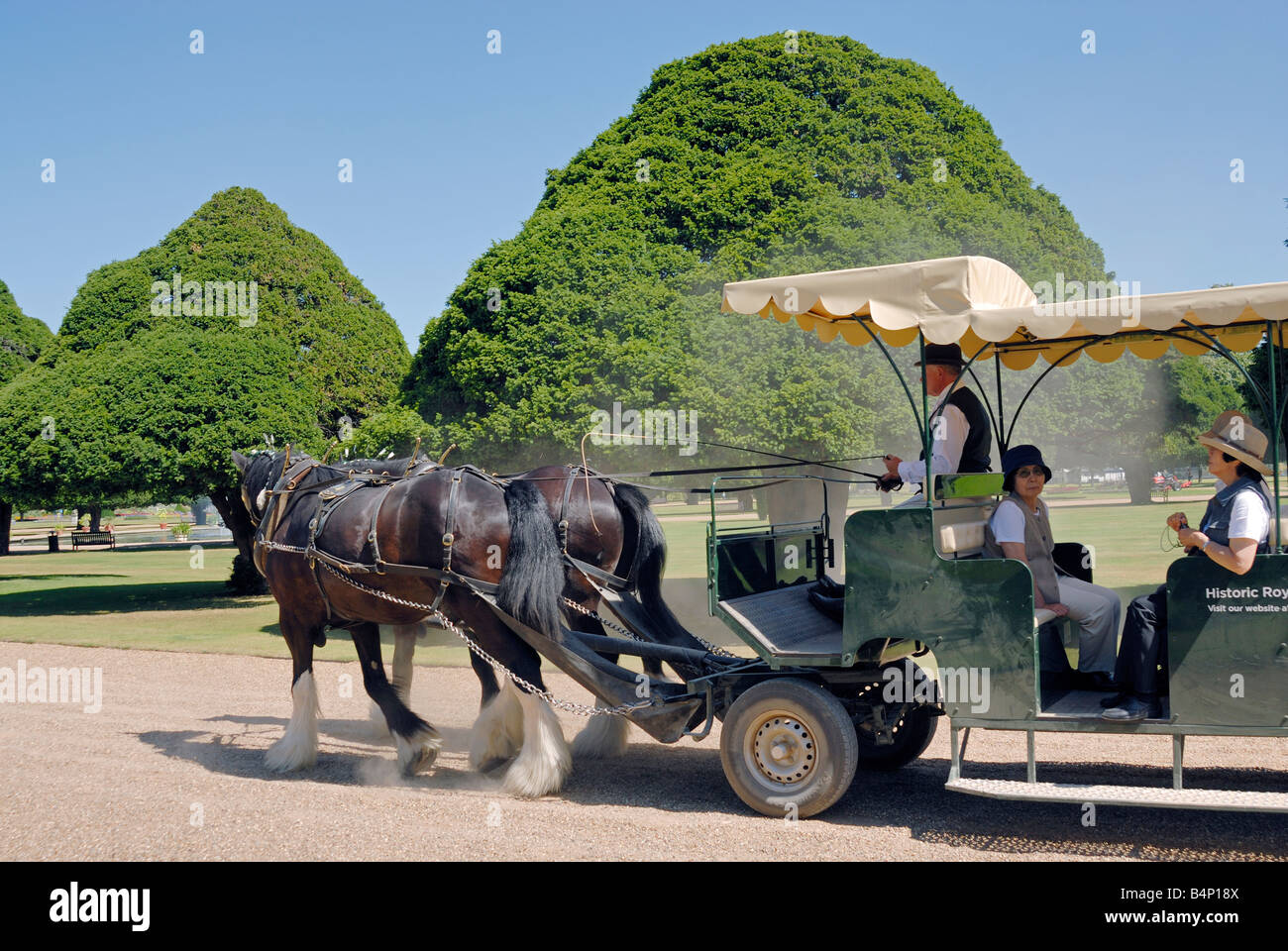 Hampton Court Palace Gardens mit Shire Horse ride Stockfotografie - Alamy