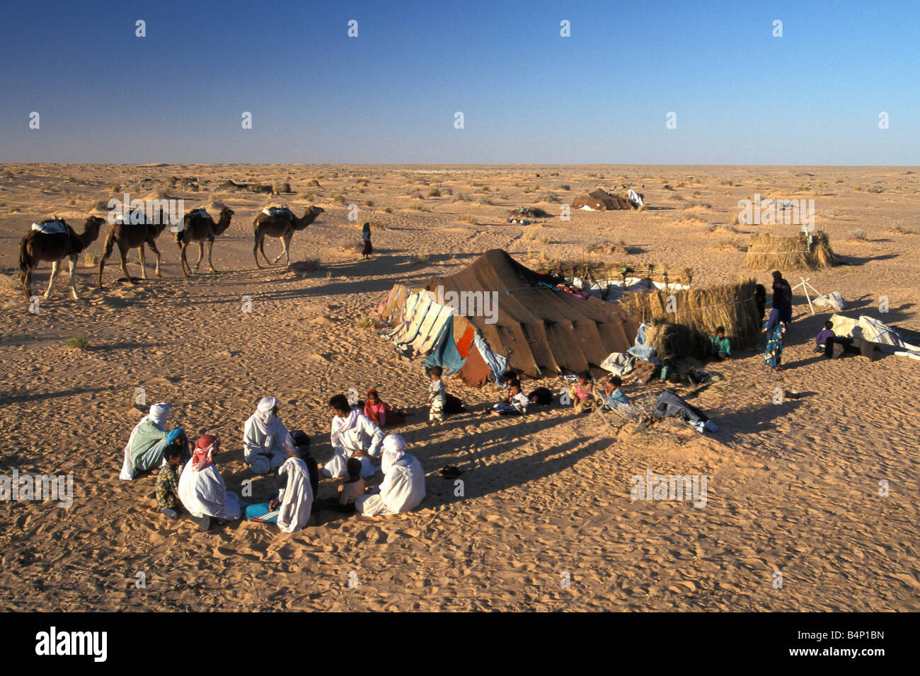 Bedouin tent camel -Fotos und -Bildmaterial in hoher Auflösung – Alamy