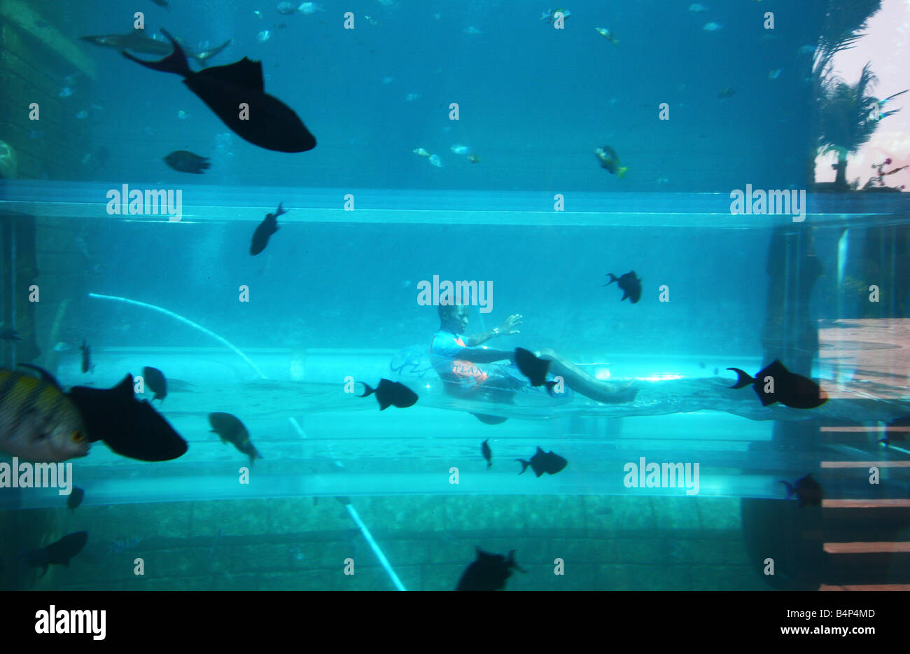 Hotel Atlantis, The Palm, Dubai, Vereinigte Arabische Emirate. Wasser ...