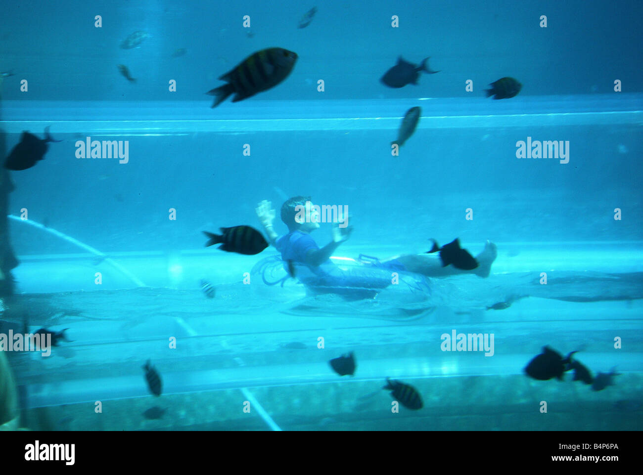 Hotel Atlantis, The Palm, Dubai, Vereinigte Arabische Emirate. Wasser ...