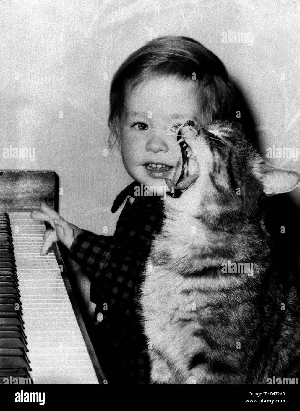 Singende Katze Februar 1963 Gato Katze trifft Top C mit seinem ...
