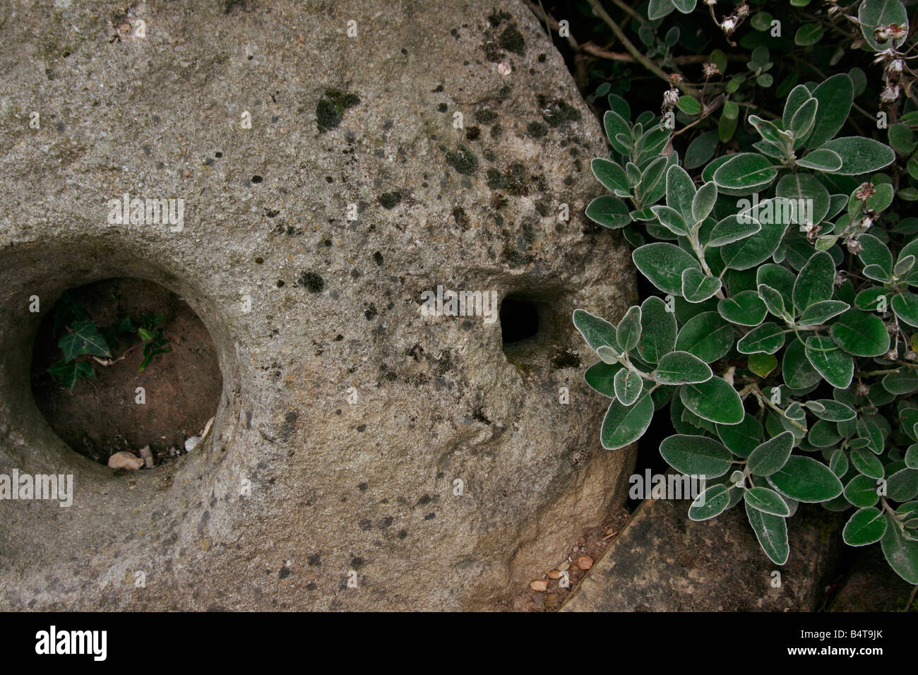 Mühlstein einer alten mühle -Fotos und -Bildmaterial in hoher Auflösung ...