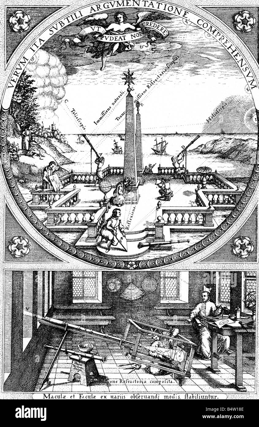 Rosa ursina -Fotos und -Bildmaterial in hoher Auflösung – Alamy