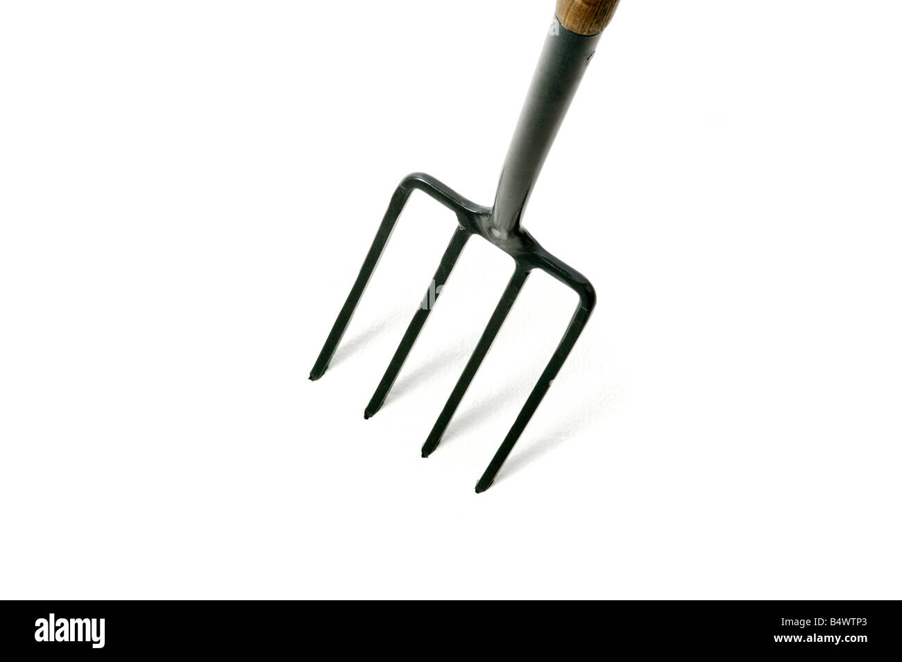 Hebe garten -Fotos und -Bildmaterial in hoher Auflösung – Alamy