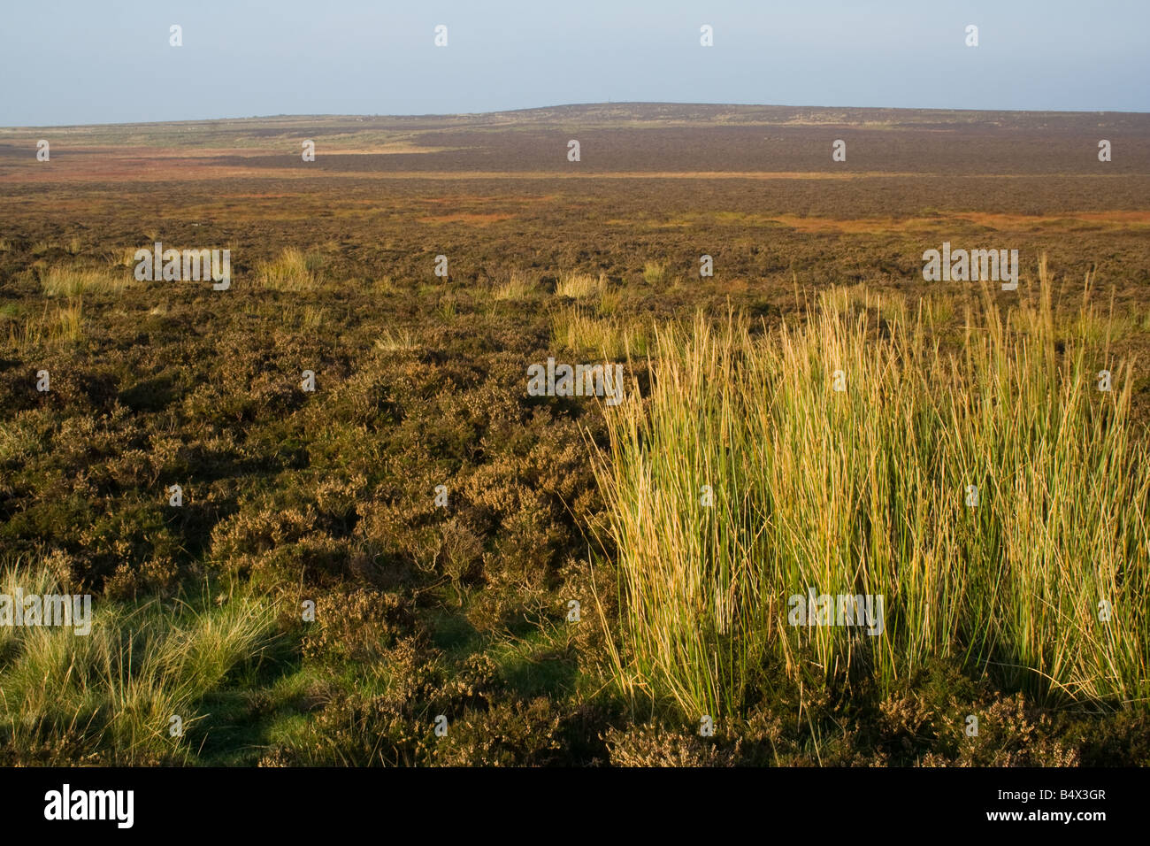 Decke moor -Fotos und -Bildmaterial in hoher Auflösung – Alamy