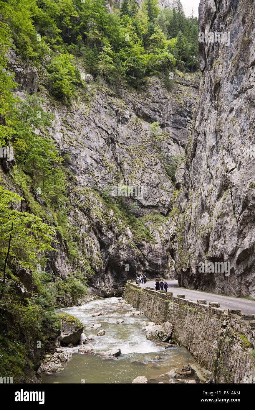 Moldawien Rumänien Europa Bicaz Schlucht im Nationalpark Cheile ...