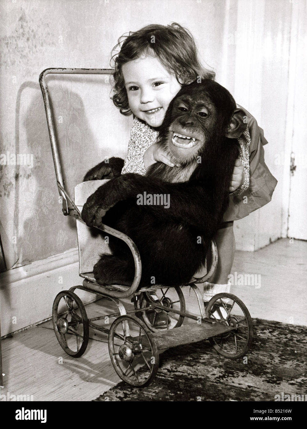 Sammy the Chimp April 1965 Debbie Gibb Tochter des Assistenten ...