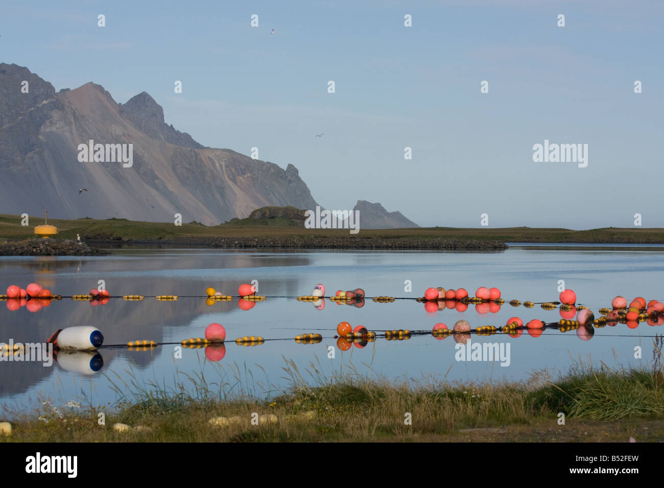Hoefn -Fotos und -Bildmaterial in hoher Auflösung – Alamy