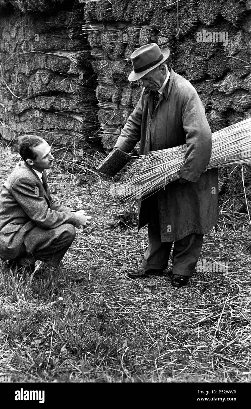Reed cutter for the norfolk broads -Fotos und -Bildmaterial in hoher ...
