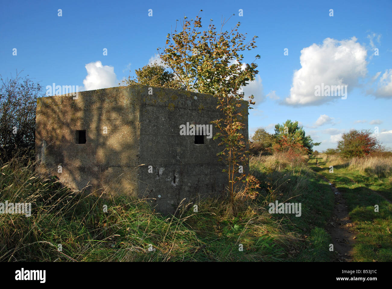 Raf wellingore -Fotos und -Bildmaterial in hoher Auflösung – Alamy