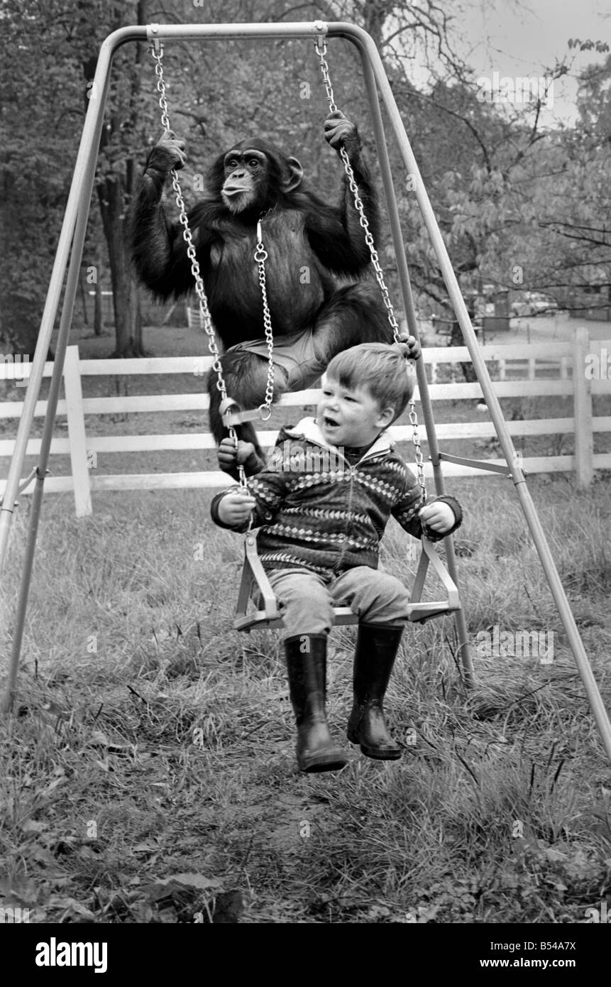 Für 2 jährige David Cawley, lebt auf der Löwen-Reserve am Longleat, ist ...