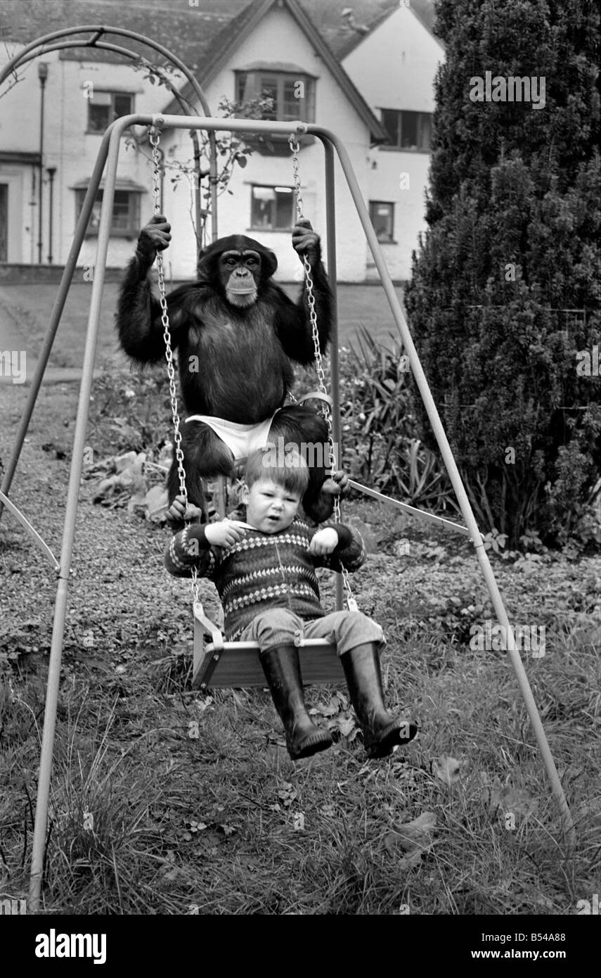 Für 2 jährige David Cawley, lebt auf der Löwen-Reserve am Longleat, ist ...