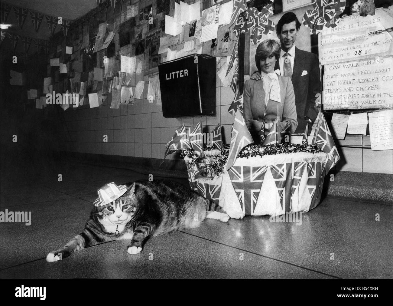 Katzenkorb bahnhof -Fotos und -Bildmaterial in hoher Auflösung – Alamy