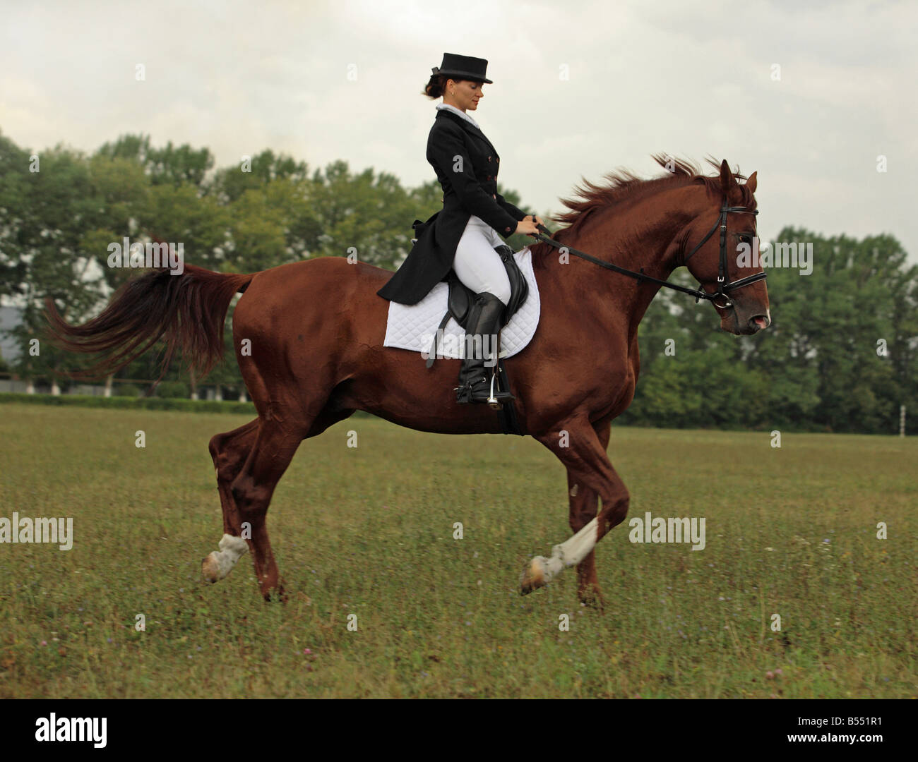 Mädchen reitet dressur -Fotos und -Bildmaterial in hoher Auflösung – Alamy