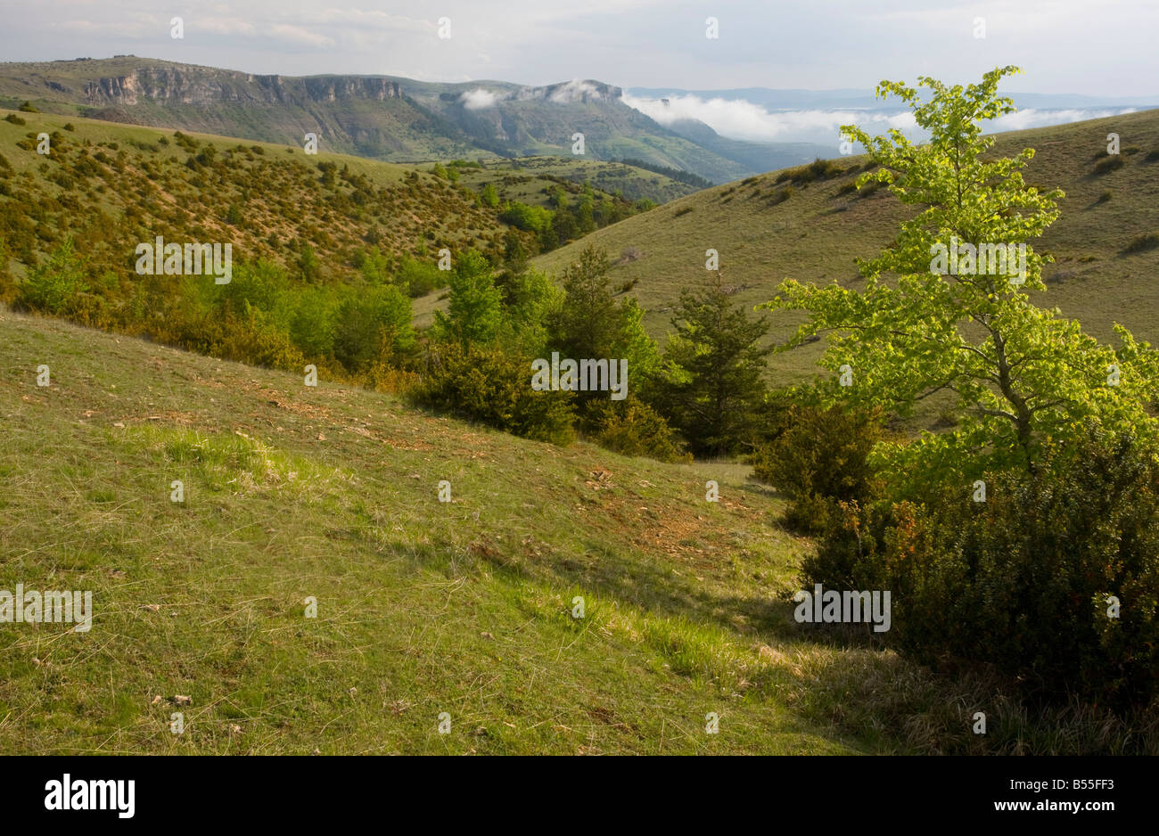 Mt aigoual -Fotos und -Bildmaterial in hoher Auflösung – Alamy