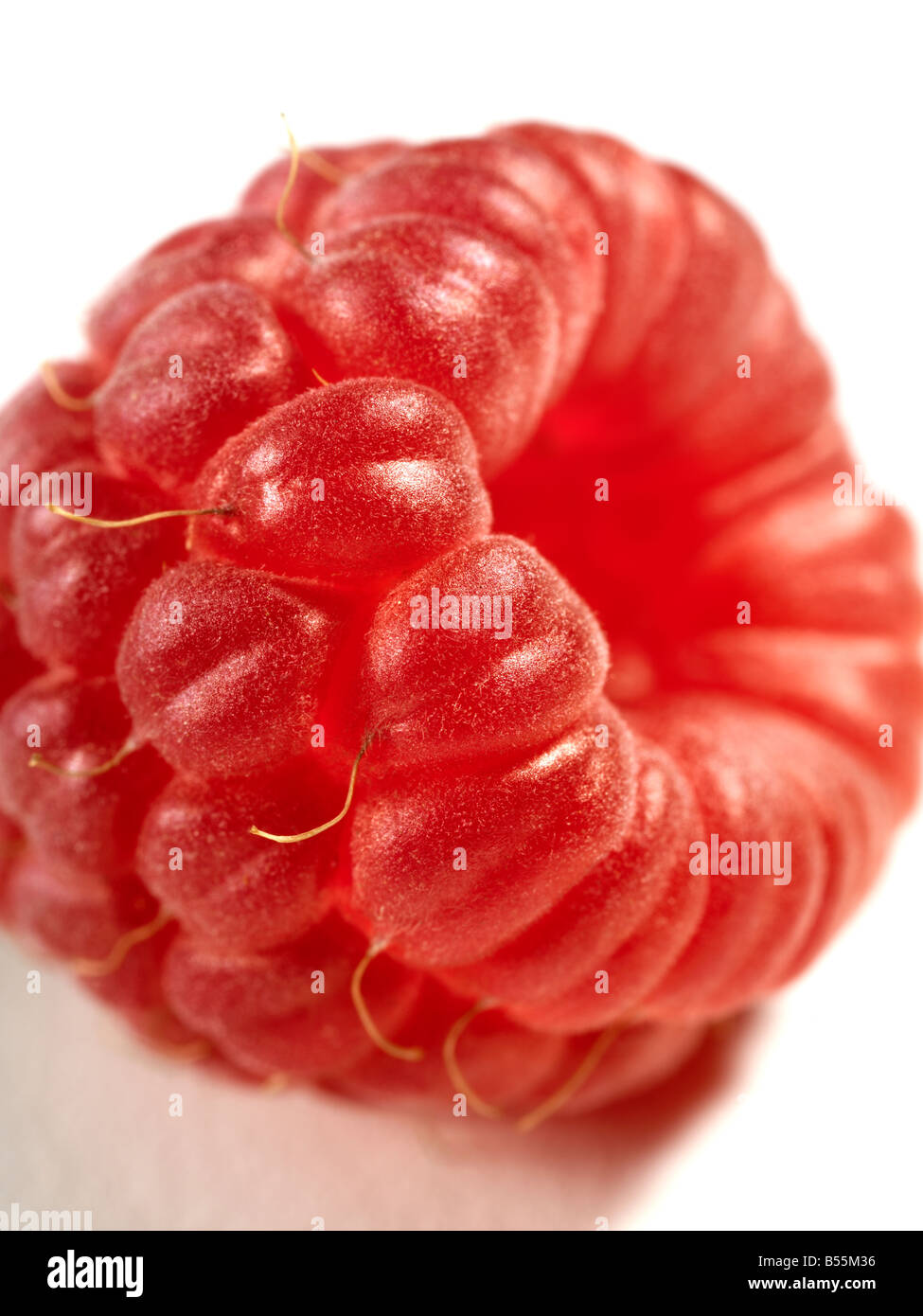 Eine himbeere -Fotos und -Bildmaterial in hoher Auflösung – Alamy