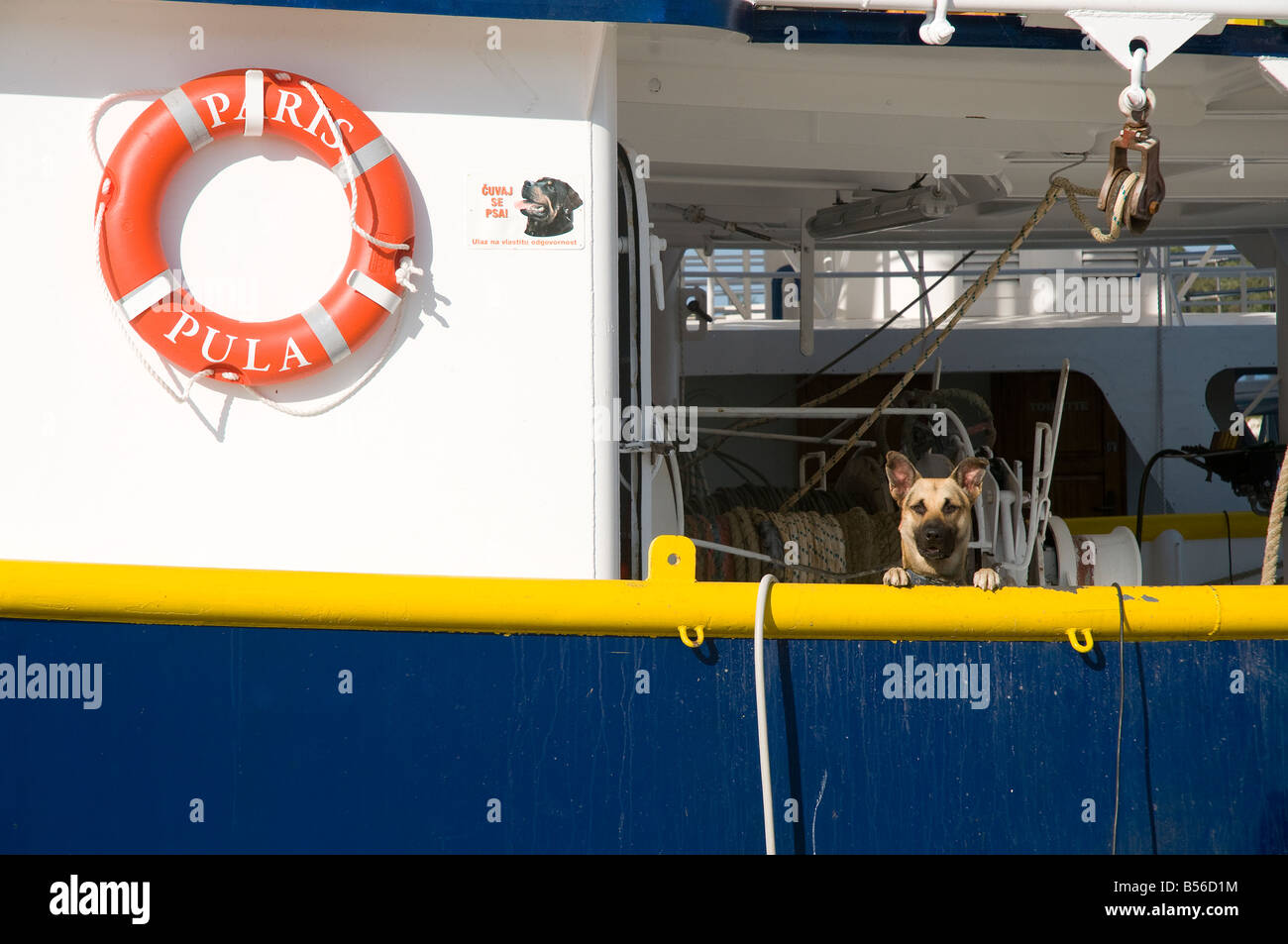 Tier im boot -Fotos und -Bildmaterial in hoher Auflösung – Alamy