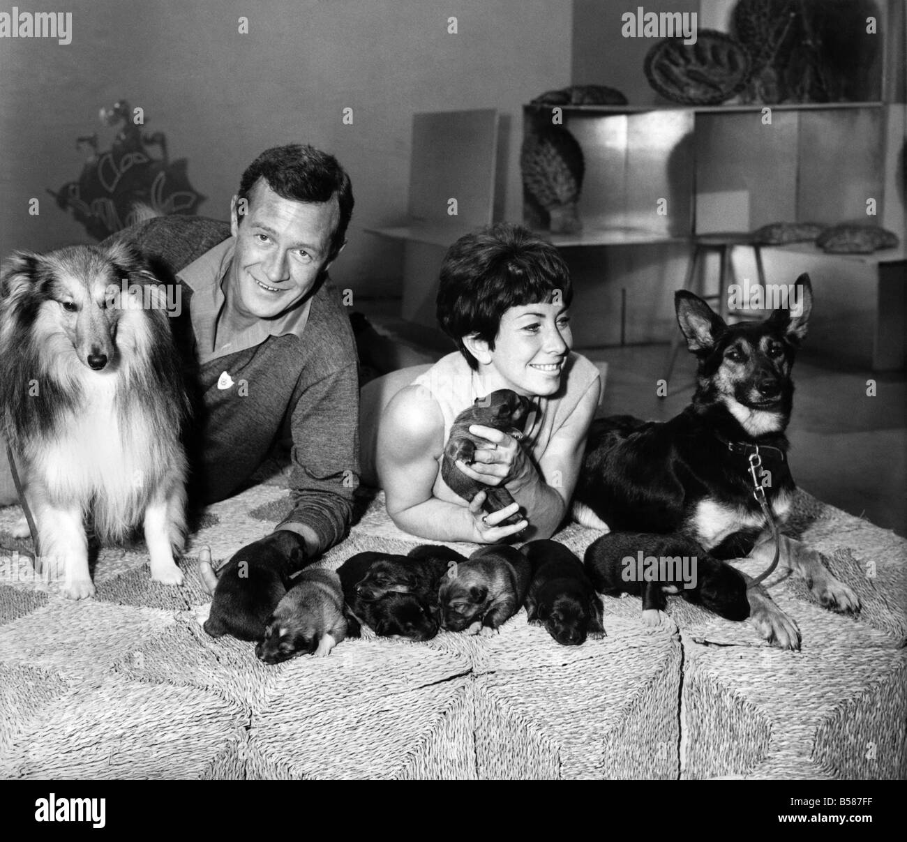 28 Jahre alten Valerie Singleton und Christopher Trace Moderatoren Blue ...