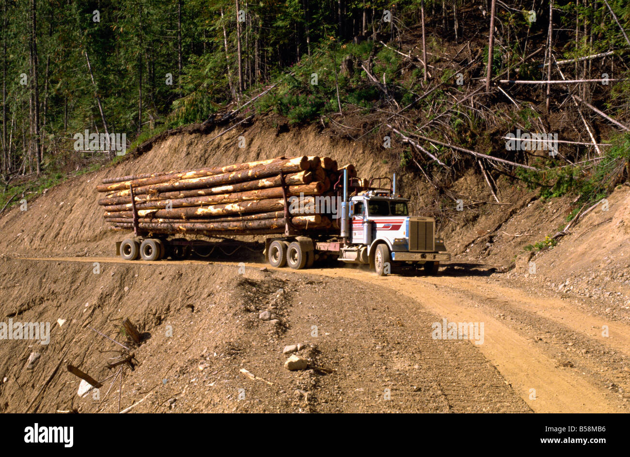 Logging trucks transport lumber forestry -Fotos und -Bildmaterial in ...
