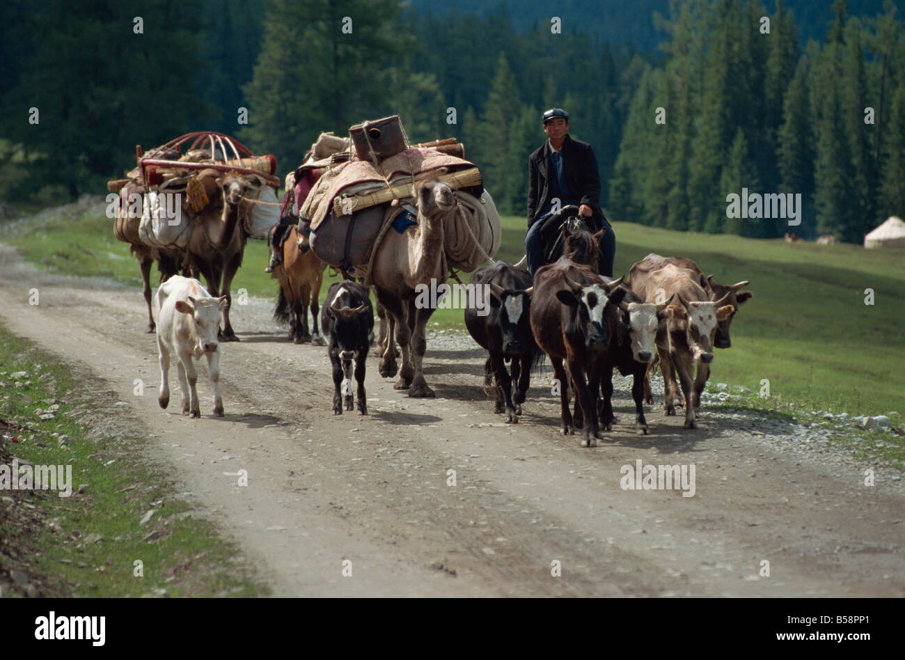 Kazakh ethnicity -Fotos und -Bildmaterial in hoher Auflösung – Alamy