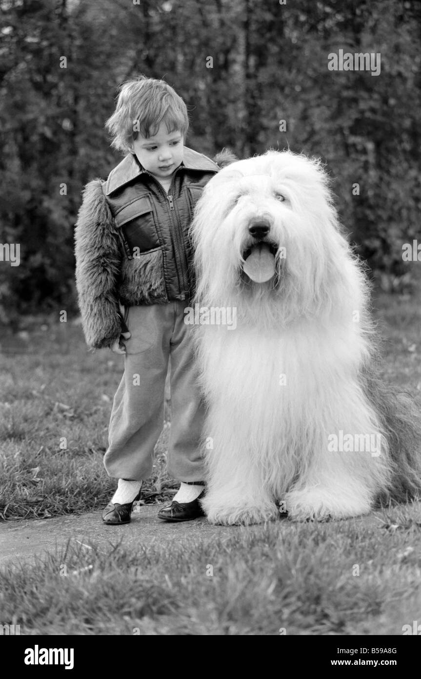 Tiere. Hunde: Herzog Dulux Hund hat 3 Zweitbesetzung sind Tania, Polly ...
