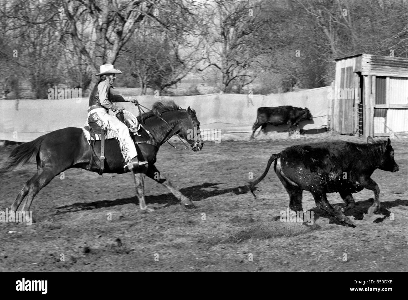 Bauer Bill Frith Appledore, Kent, in Cowboy Kleid und Sporen, mit ...