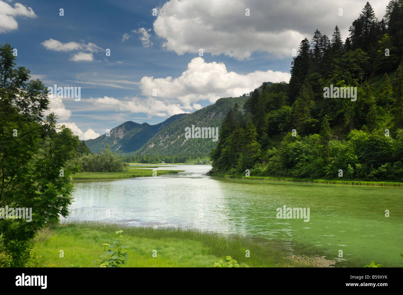 Weitsee See zwischen Ruhpolding und Reit Im Winkl, Bayern, Deutschland ...