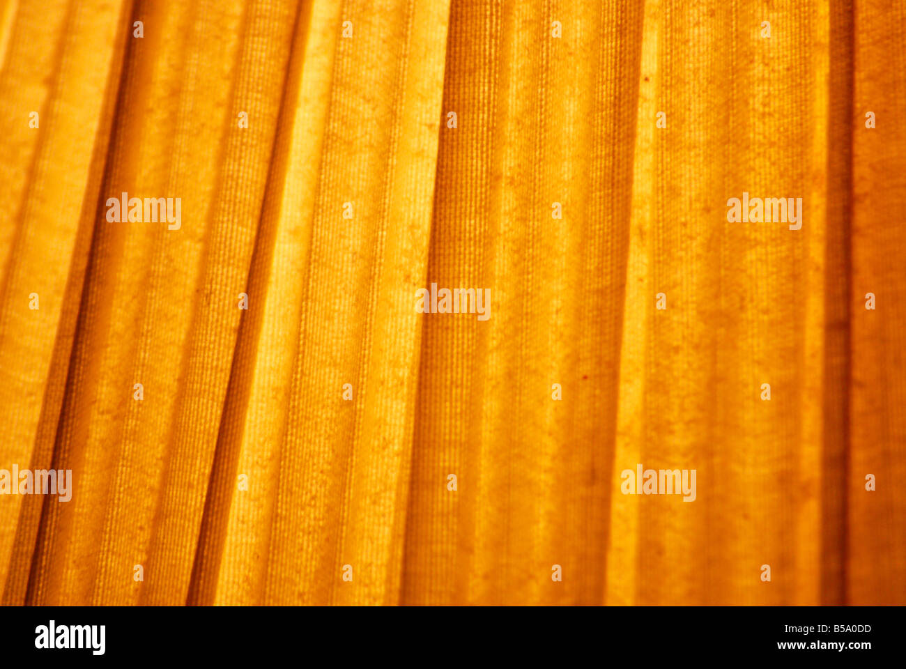 Helle linien -Fotos und -Bildmaterial in hoher Auflösung – Alamy