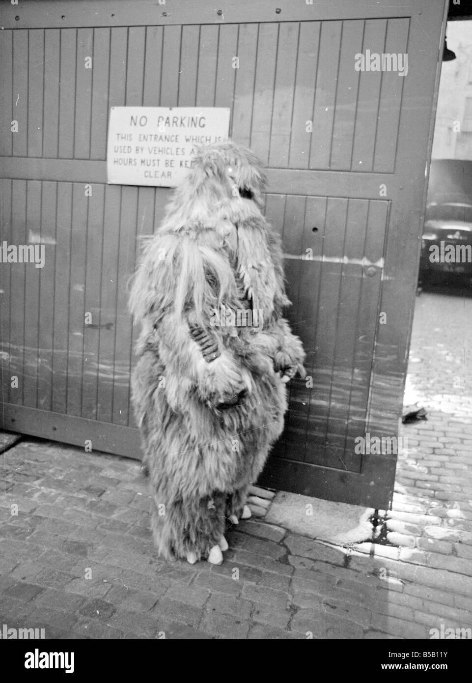 Die Yeti-Marke zwei - sieben Fuß hoch Monster mit Licht Augen ...