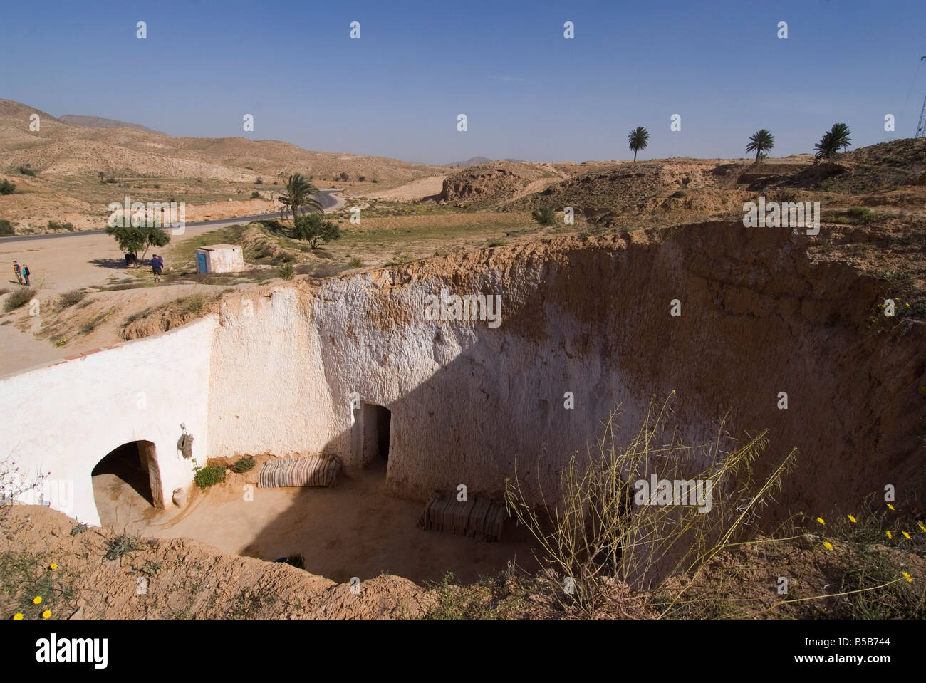 Troglodyten troglodyten -Fotos und -Bildmaterial in hoher Auflösung – Alamy