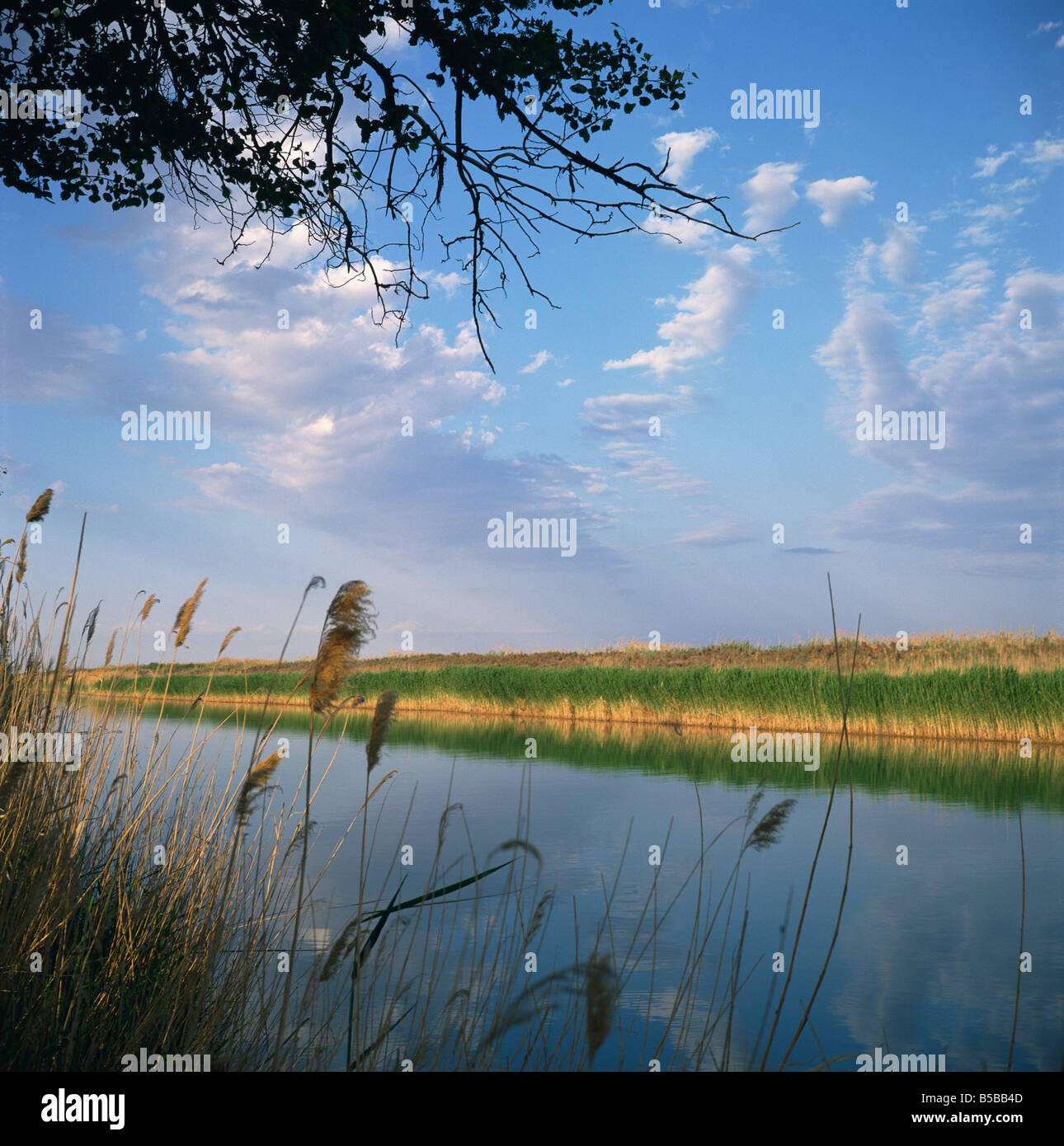 Kara kum -Fotos und -Bildmaterial in hoher Auflösung – Alamy