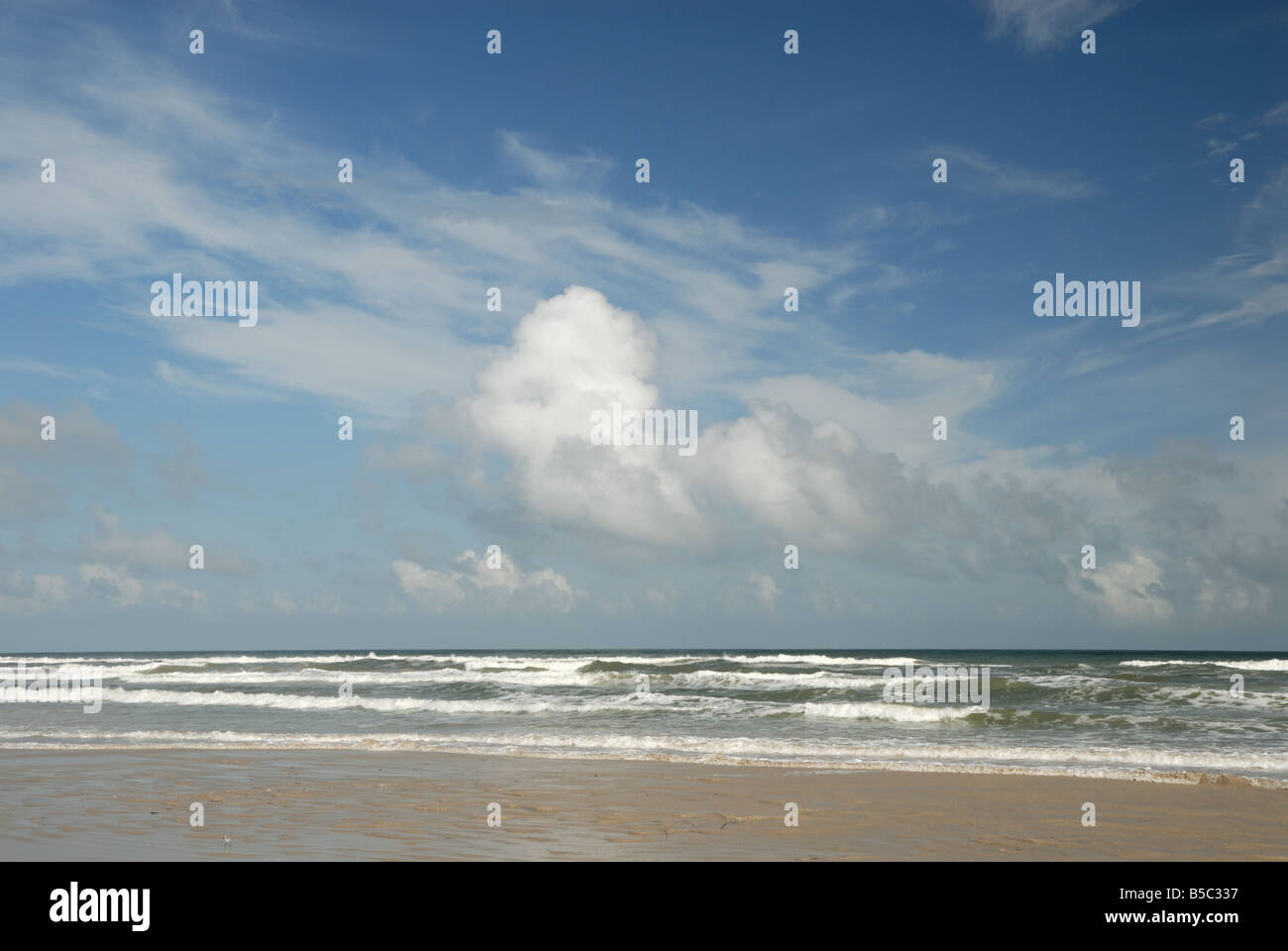 Texas strand -Fotos und -Bildmaterial in hoher Auflösung – Alamy
