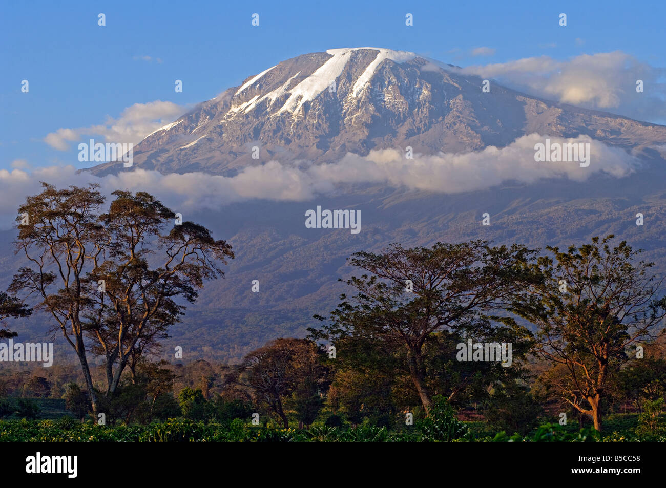 Blick auf den kilimandscharo von moshi -Fotos und -Bildmaterial in ...