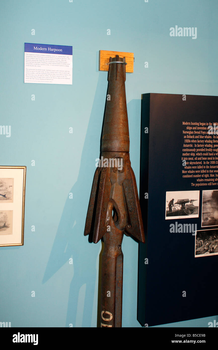 Wal harpune -Fotos und -Bildmaterial in hoher Auflösung – Alamy