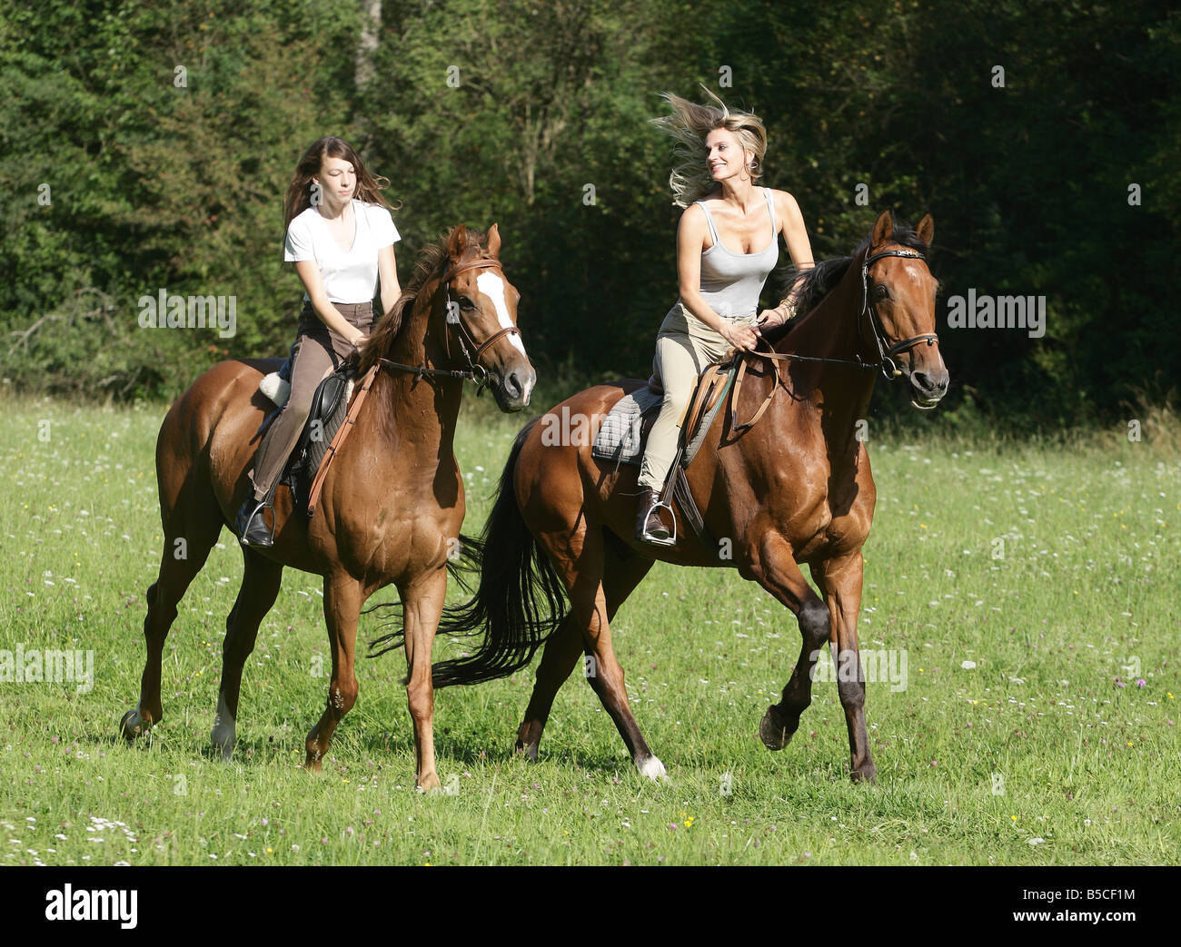 2 zwei personen reiten zusammen auf pferden -Fotos und -Bildmaterial in ...