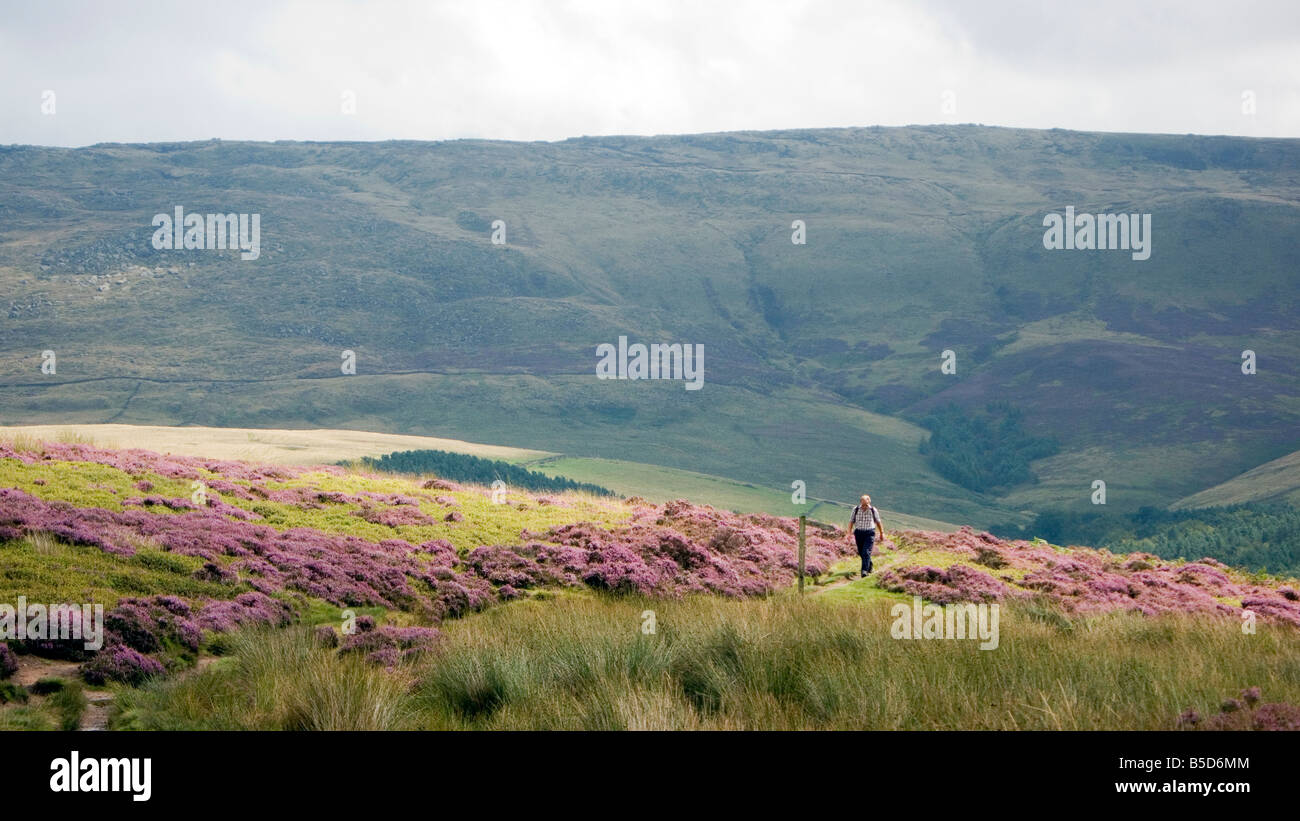Wanderer zu Fuß walking The National Trust High Peak Estate William ...