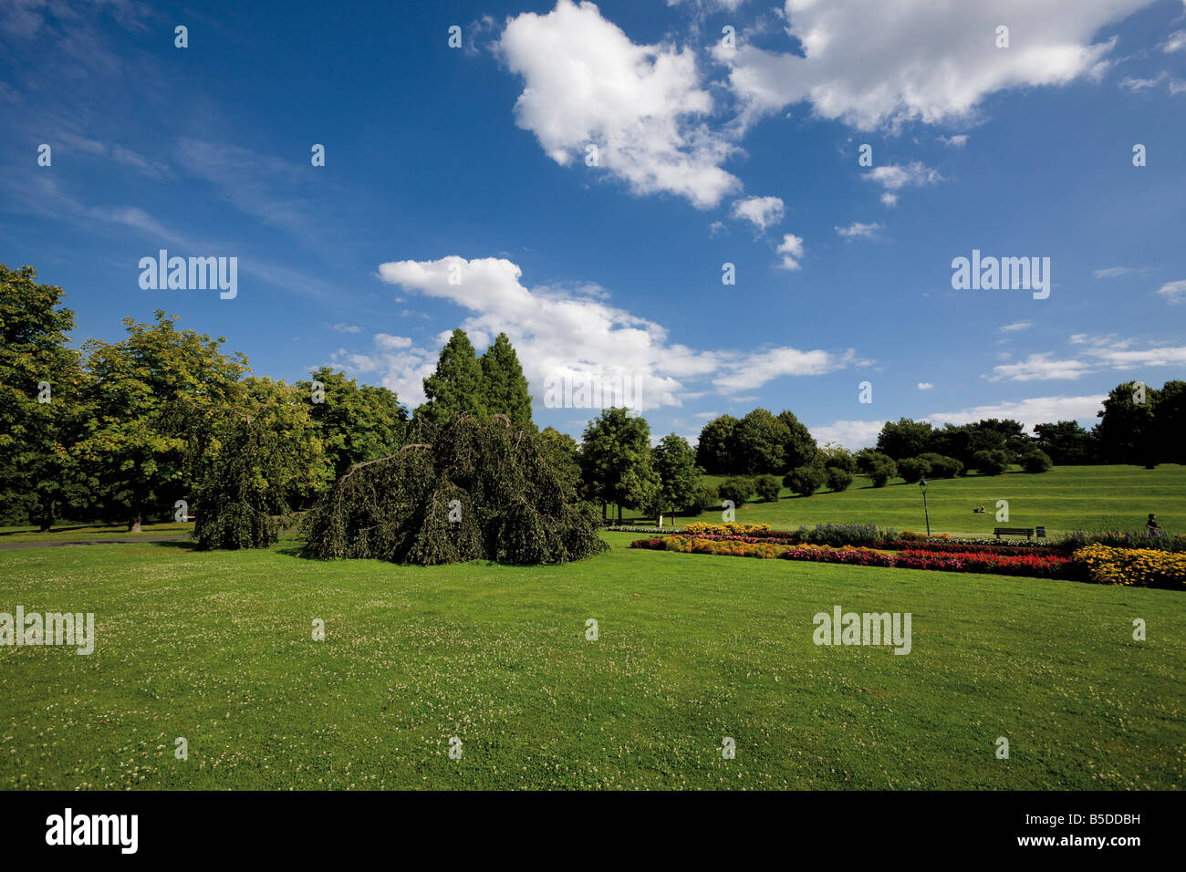 Bonn rheinaue -Fotos und -Bildmaterial in hoher Auflösung – Alamy