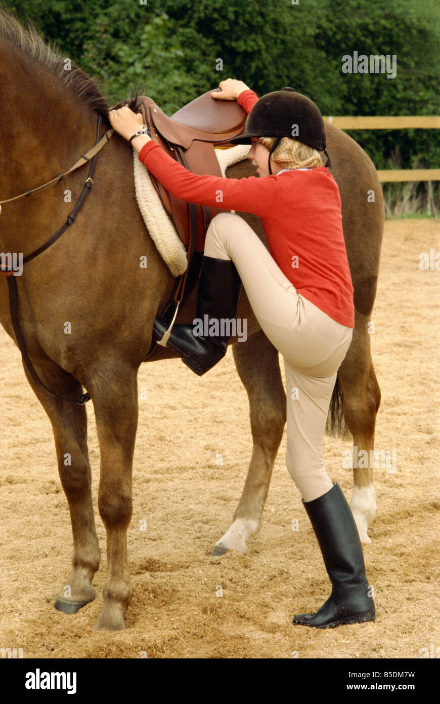 Dein pferd besteigen -Fotos und -Bildmaterial in hoher Auflösung – Alamy