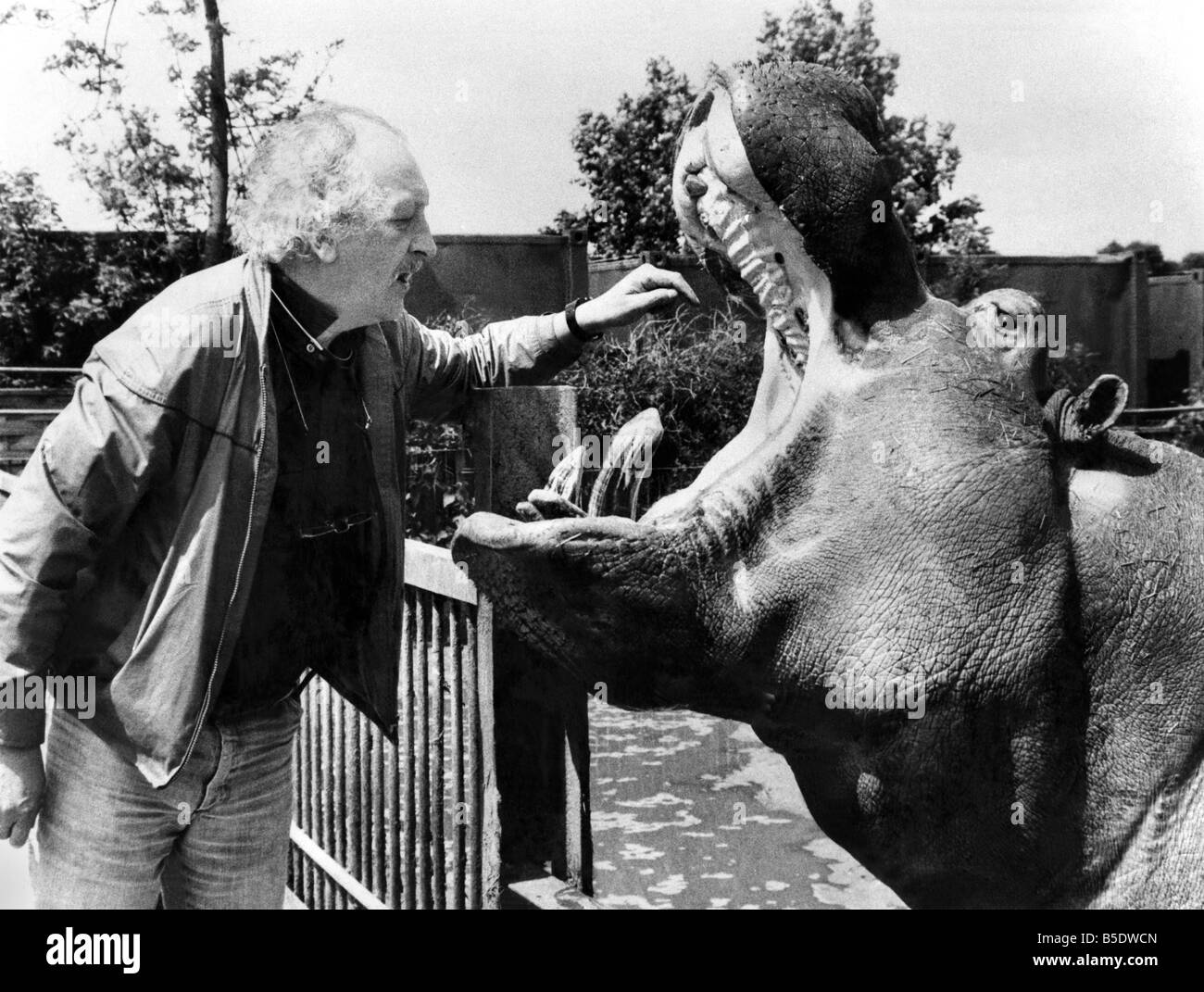 Behandlung von wilden tieren Schwarzweiß-Stockfotos und -bilder - Alamy