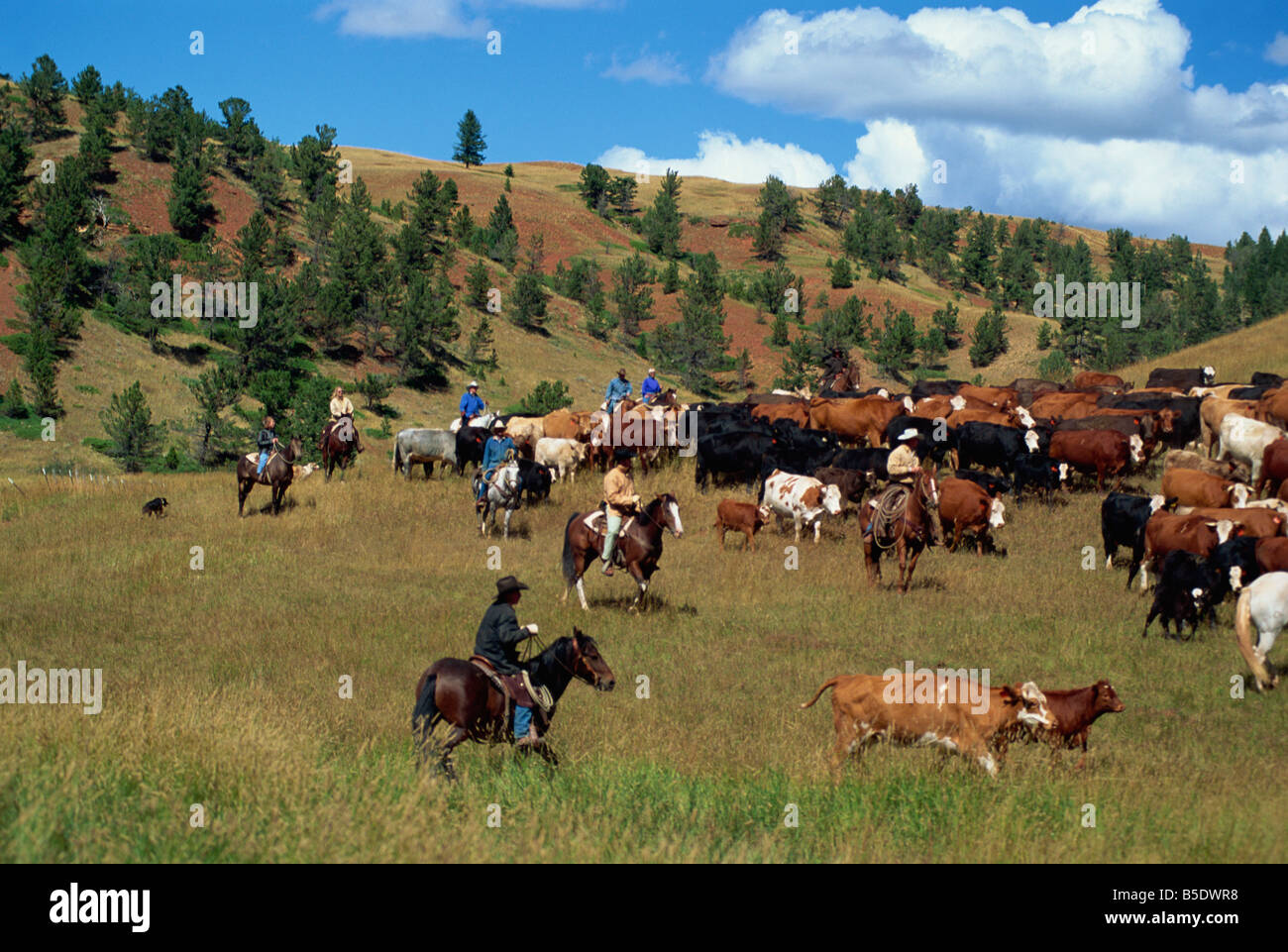 Hohe ranch -Fotos und -Bildmaterial in hoher Auflösung – Alamy