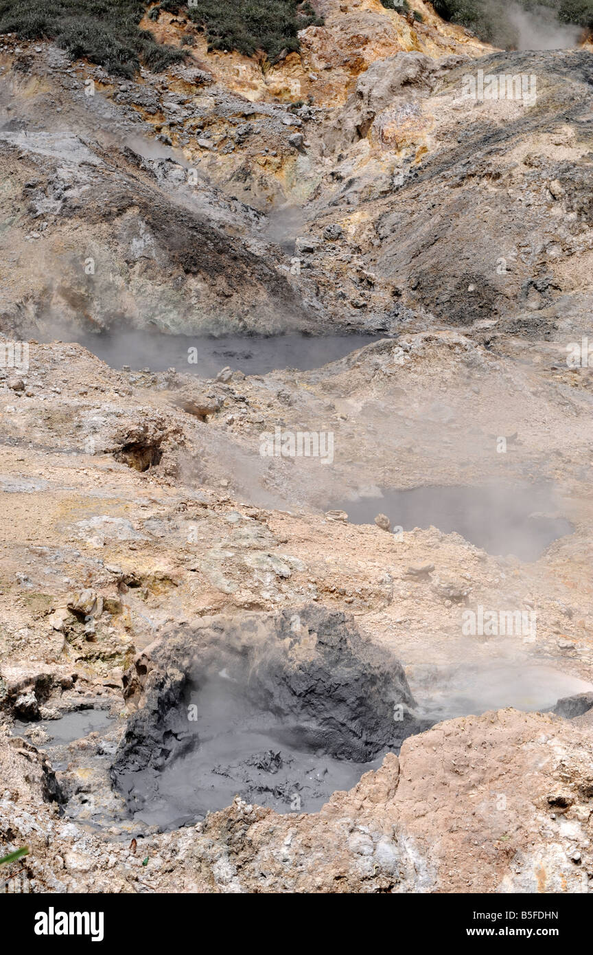 SCHWEFEL-POOLS IN DEN KRATER DES VULKANS MOUNT SOUFRIERE ST. LUCIA S ...