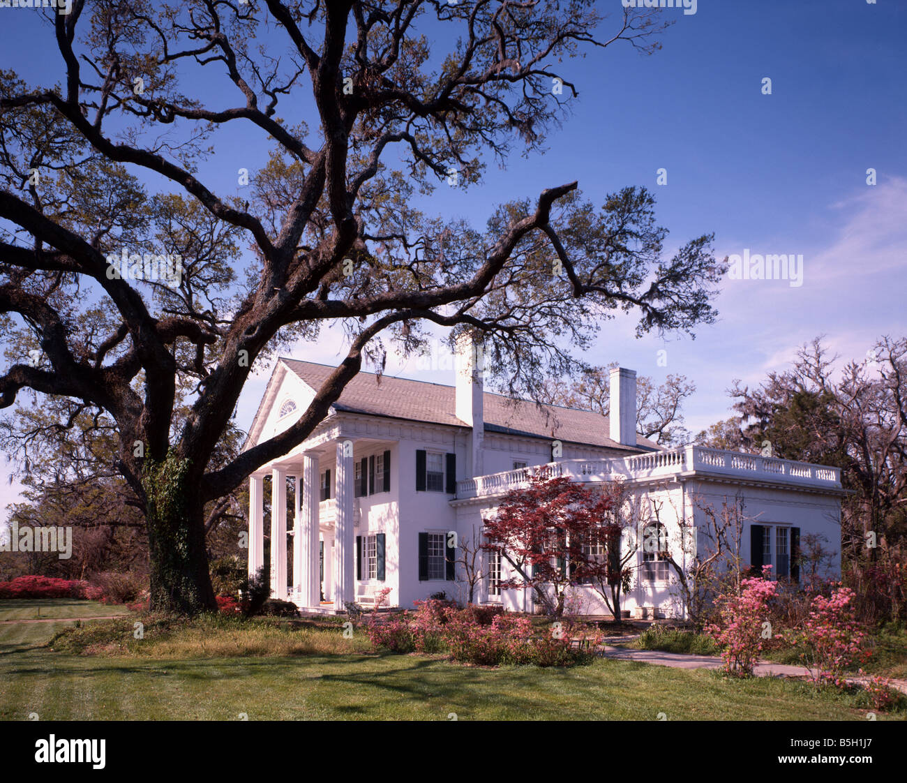 Orton plantage -Fotos und -Bildmaterial in hoher Auflösung – Alamy