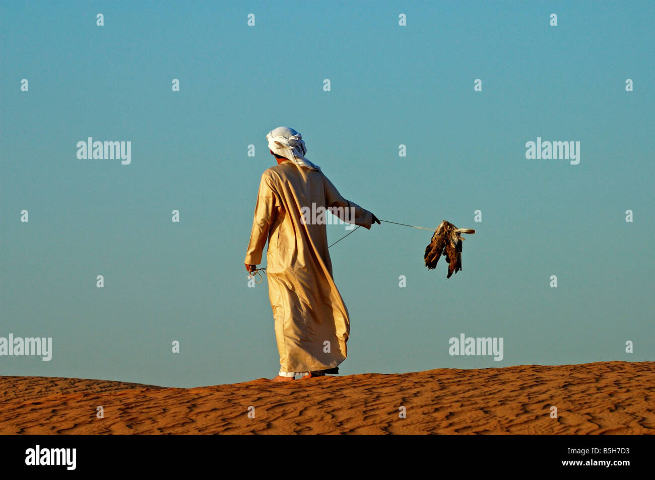 Emirati mann mit falken -Fotos und -Bildmaterial in hoher Auflösung – Alamy