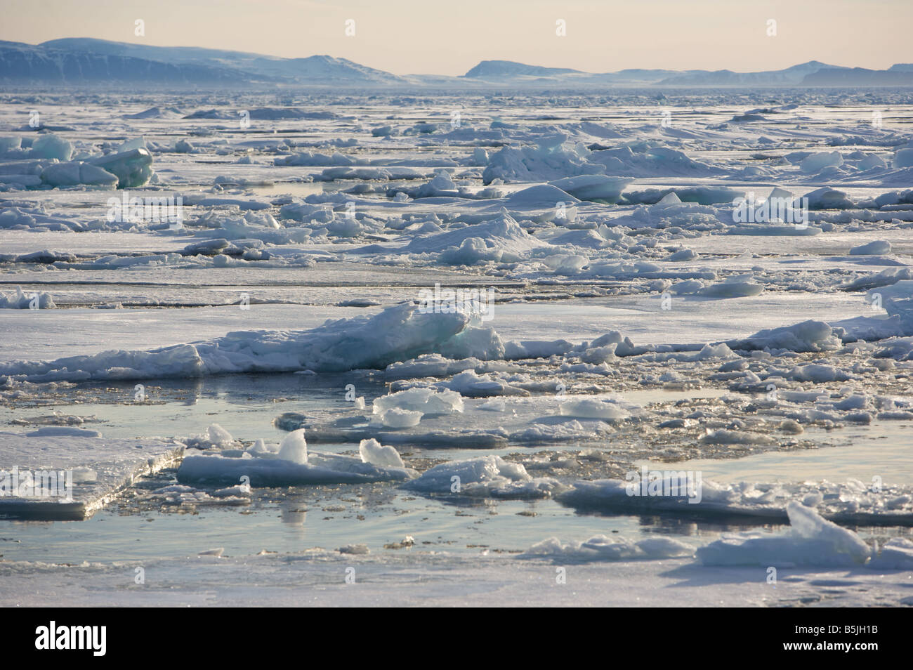 The arctic -Fotos und -Bildmaterial in hoher Auflösung – Alamy
