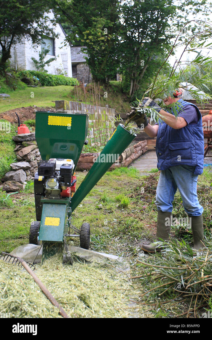 Shredding branches -Fotos und -Bildmaterial in hoher Auflösung – Alamy