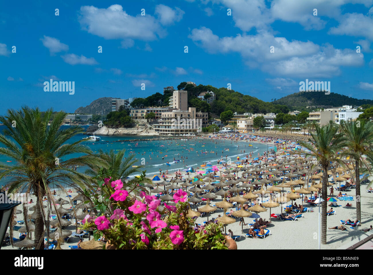 Paguera beach -Fotos und -Bildmaterial in hoher Auflösung – Alamy